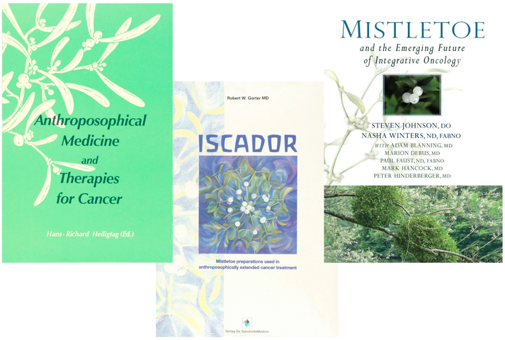 Medical Mistletoe Cancer - Bundle – SteinerBooks